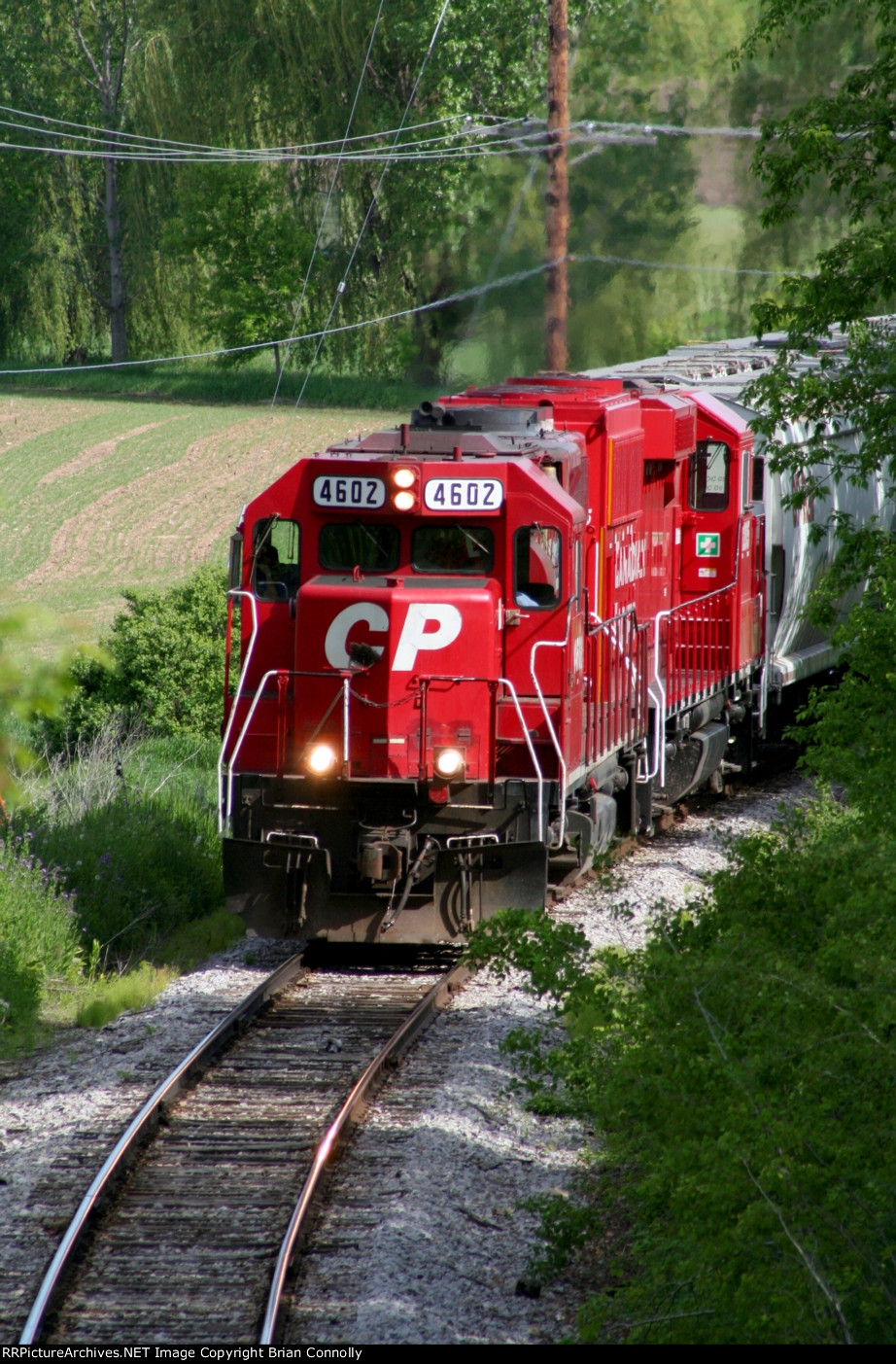CP 4602